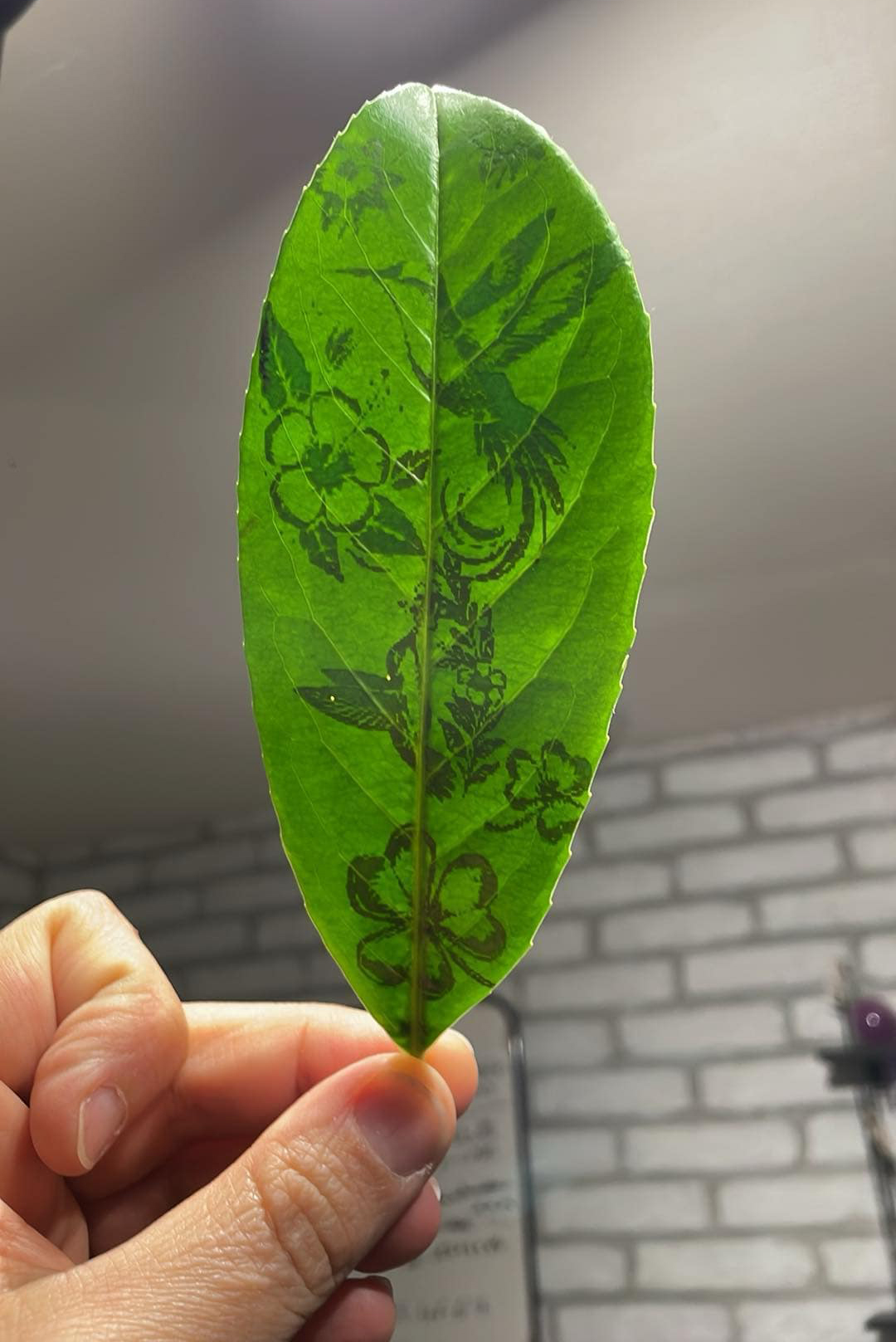 LaserPecker CraftZone