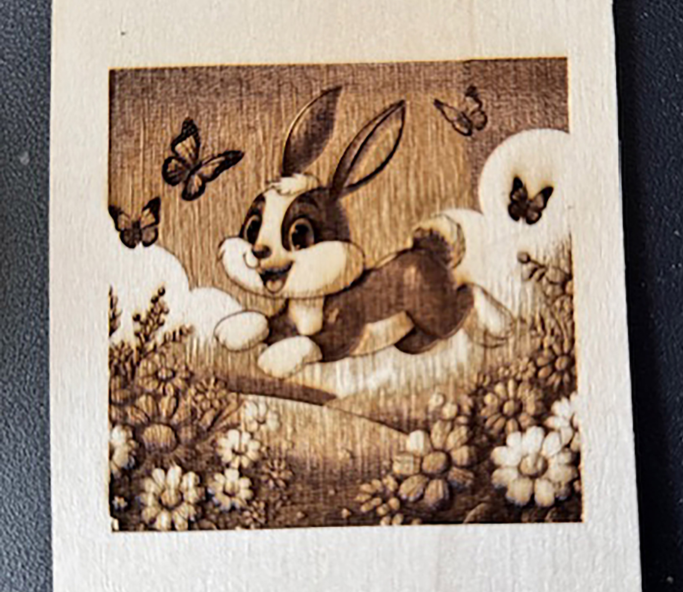 LaserPecker CraftZone